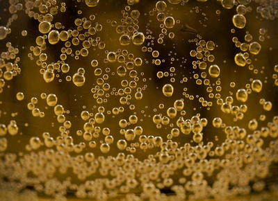 Finger Lakes Masterclass with Nancy Irelan, 11/19/2025 – Flatiron Wines ...